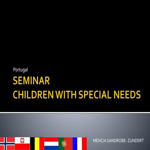 Seminar children special needs holanda | PPTX