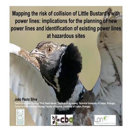 Colision risk maps with power lines | PPT