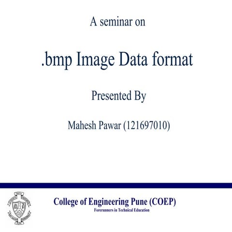 .bmp image data format | PPT