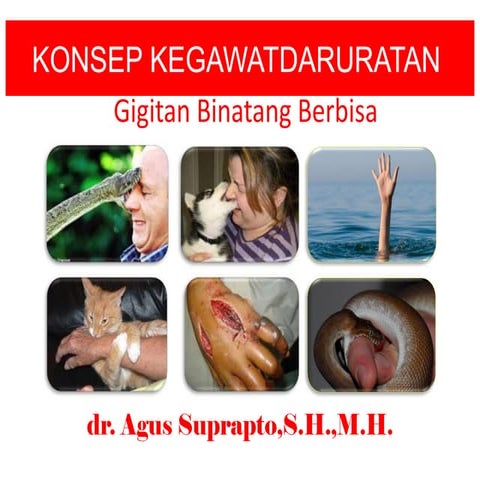 seminar gigitan hewan berbisa - Copy.pdf