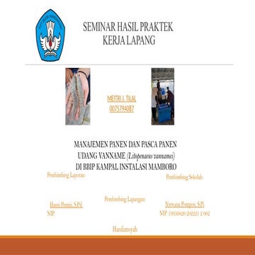 SEMINAR HASIL PRAKTEK KERJA LAPANGAN (PKL).pptx