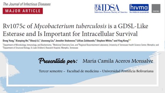 Apc tcell stimulation animation | PPT