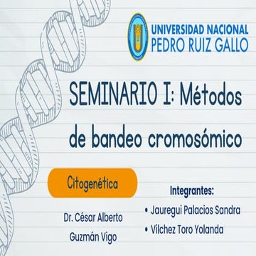 BANDEO CROMOSÓMICO - CITOGENÉTICA - MOLECULAR | PDF