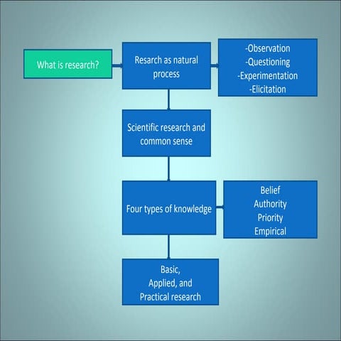 Leonela`s mind map | PPT | Free Download
