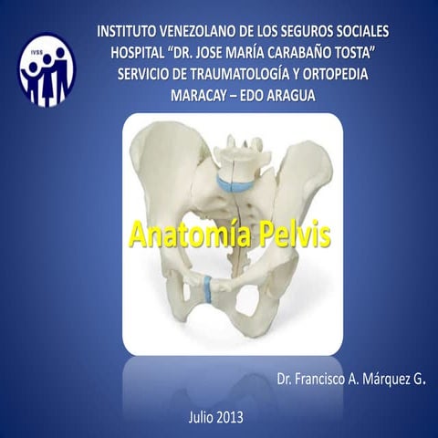 PELVIS: Promontorio. Agujero Ciatico. Ligamentos pubicos | PPTX