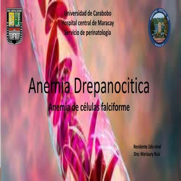 Seminario anemia drepanocitica perinato | PPTX
