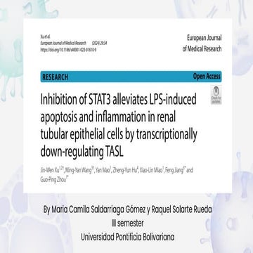 Seminario biología molecular: "Inhibition of STAT3 alleviates LPS ...
