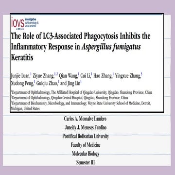 Seminario - "The Role of LC3-Associated Phagocytosis Inhibits the ...