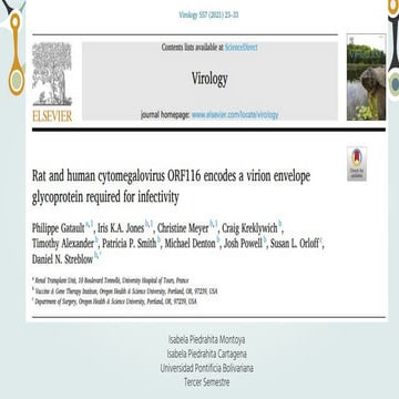 Seminario biología molecular CMV | PPT