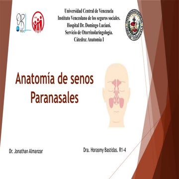 Seminario de Anatomía de senos Paranasales.pptx
