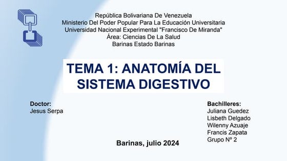Charla cirugia: Anatomía: Irrigación y drenaje de Colon y Recto | PPT