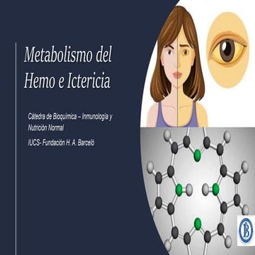 Seminario de metabolismo del hemo e Ictericia.pptx