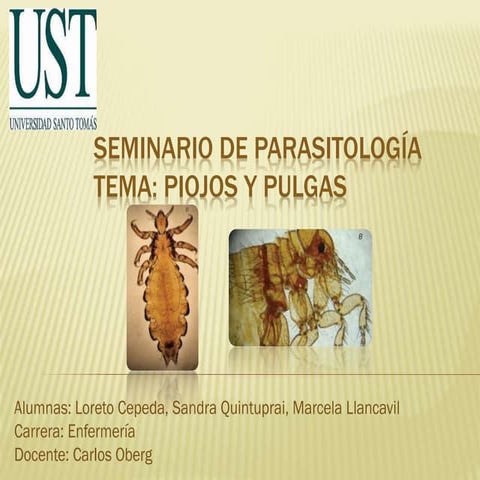 Reported cases on tungiasis | PPTX