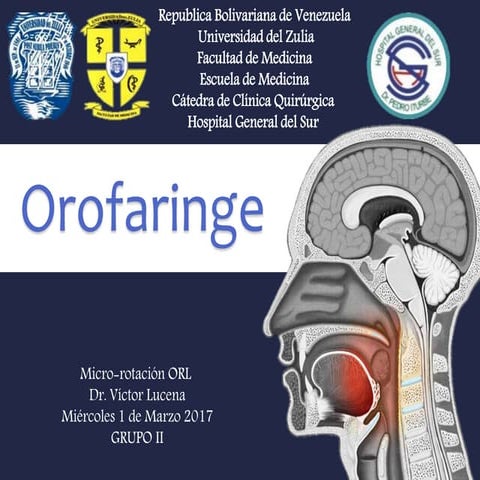 Seminario orofaringe .ppt