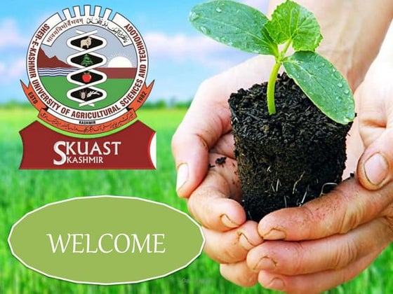 Pureline selection | PPTX