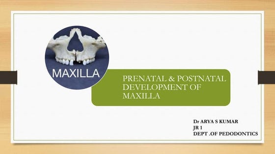 Development & Growth of Maxilla | PPTX