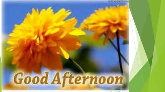 Expanded Program On Immunization Pptx