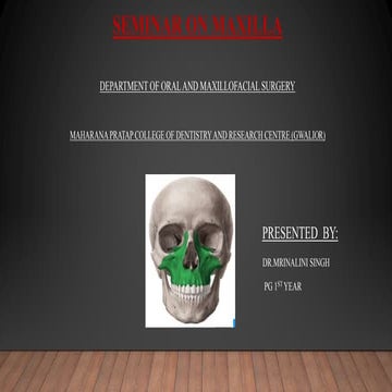 seminar on maxilla.pptx