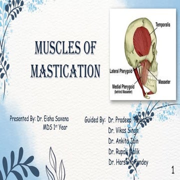MUSCLES OF MASTICATION INVOLVING ANATOMY , ORIGIN AND INSERTION AND ...