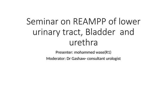 Urinary bladder (Anatomy) | PPTX
