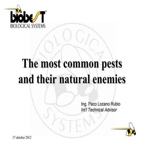 The most common greenhouse pests and their natural ennemies | PPT