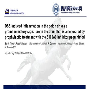 DSS-induced inflammation in the colon drives a proinflammatory ...