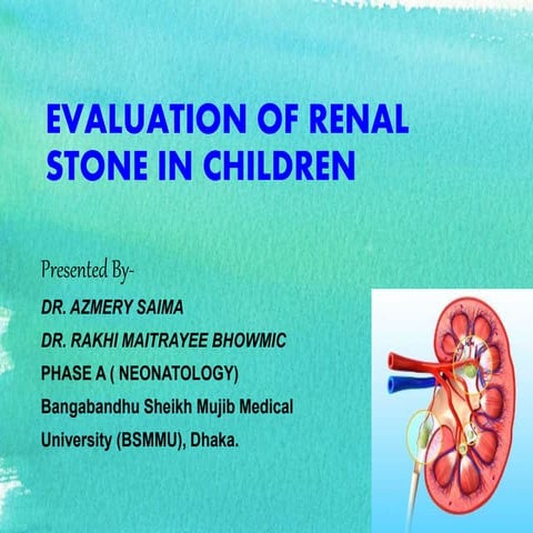 Seminar renal stone on 24.10.16