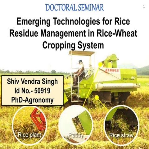 Emerging Technologies for Rice Residue Management in Rice-Wheat ...