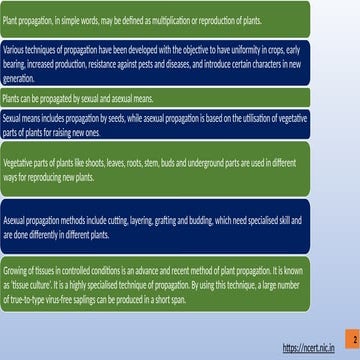 Innovative plant propagation technique Seminar Vivek PHD New - Copy.pptx