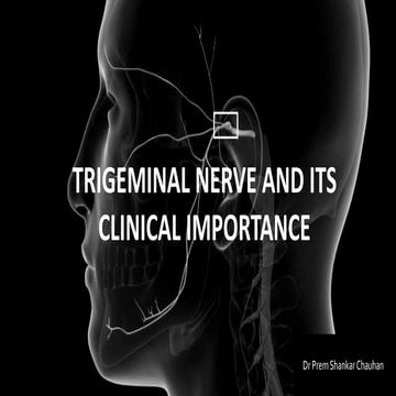 SEMINAR V & VI TRIGEMINAL NERVE AND ITS CLINICAL IMPORTANCE FINAL.pptx