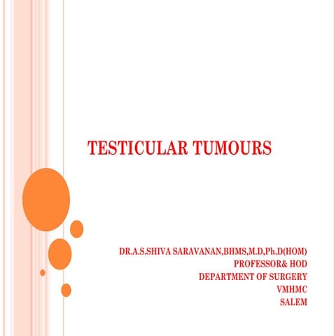common testicular tumour- Seminoma of testis | PPT