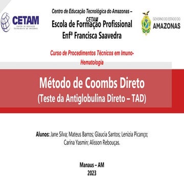 Seminário_CETAM.pptx