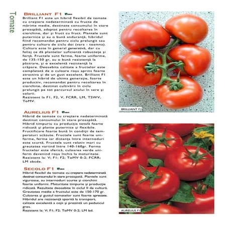 Seminte tomate brilliant_f1,_aurelius_f1,_secolo_f1,_marissa_f1 ...