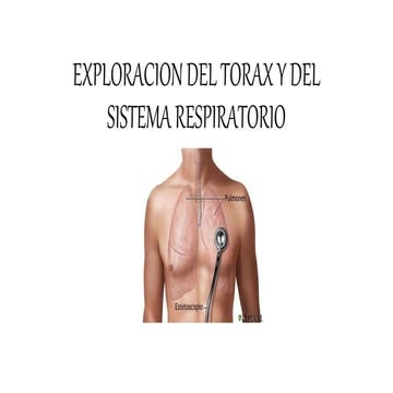 SEMIOLOGIA DE TÓRAX | PDF