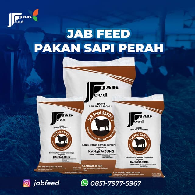 Jab feed Pakan Sapi Perah dan Sapi Potong | PDF