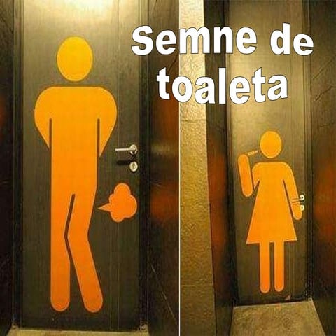 Semne de toaleta | PPT