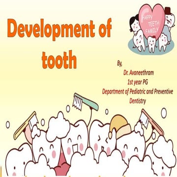 tootth development | PPTX