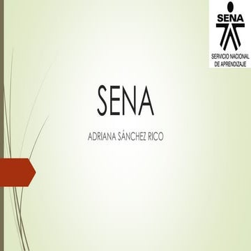 Simbolos sena | PPT