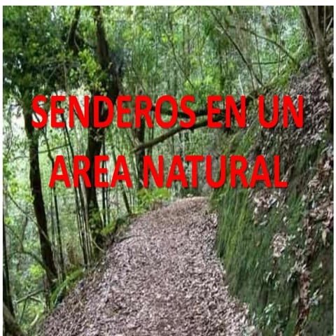 Senderos en un area natural | PPTX