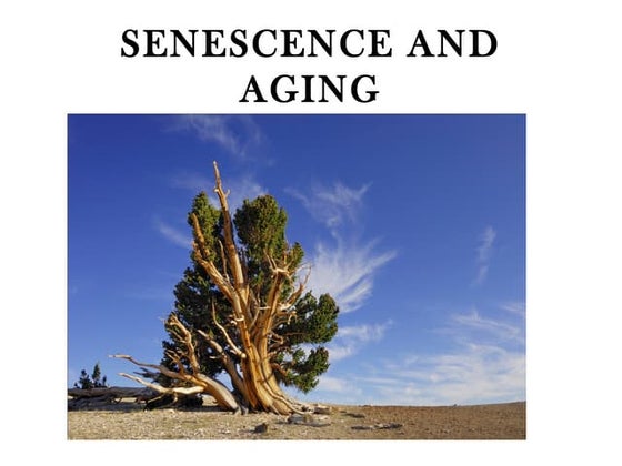 Physiology of senescence and abscission | PPTX