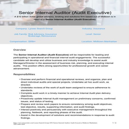 Senior Internal Auditor (Audit Executive) | PDF