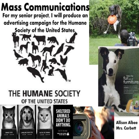 Senior Project Commitment Slide | PPT