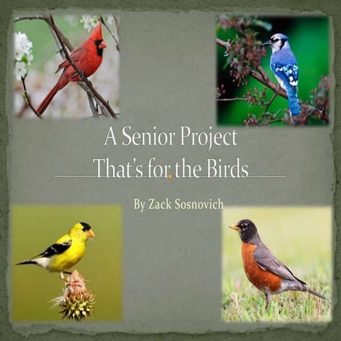 Birdhouse Builder | PPTX