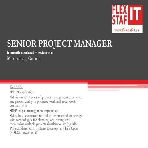 Senior project manager | PPTX