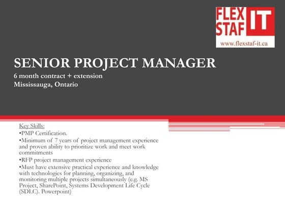 Project success mentor | PPT