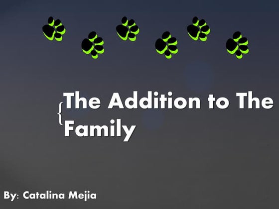 Senior Project Commitment Statement | PDF