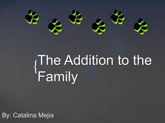 Senior Project Commitment Statement | PDF