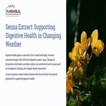 Senna Extract for Digestive Health: Natural Support During Seasonal ...
