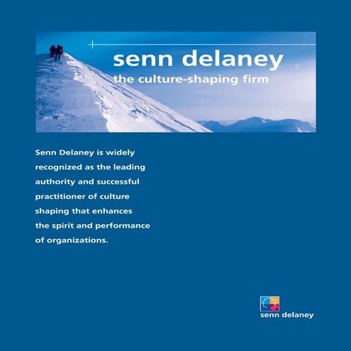 Senn delaneybrochure 2012 | PDF