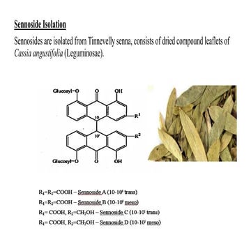 Sennoside.pptx